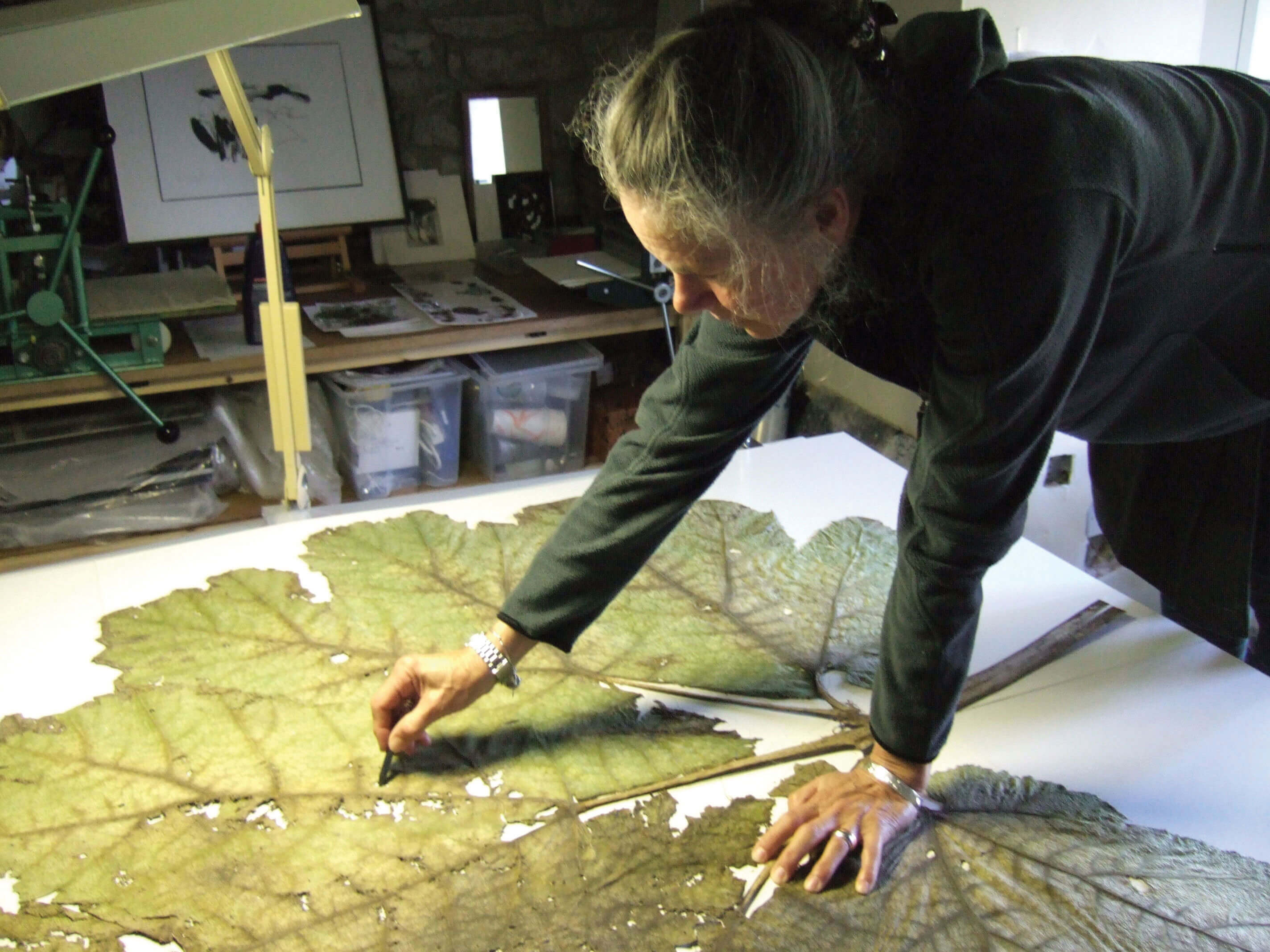 Much-travelled and multi-talented, that’s Mary Wardle - Reflections ...