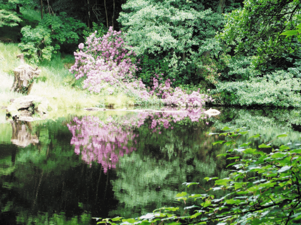 Fancy-Dam,-Two-Dales-rgb - Reflections Magazine