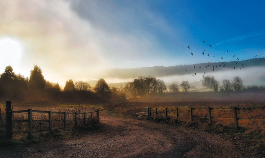 When Spring turn to Winter - Reflections Magazine