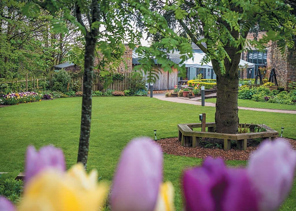 Open Garden highlights this month… - Reflections Magazine